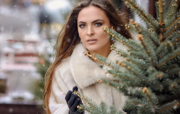 Wallpaper look, girl, snow, makeup, coat, tree, long hair, Daria images ...