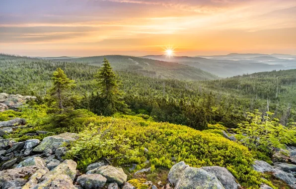 Download wallpaper forest, the sky, the sun, mountains, nature, stones ...