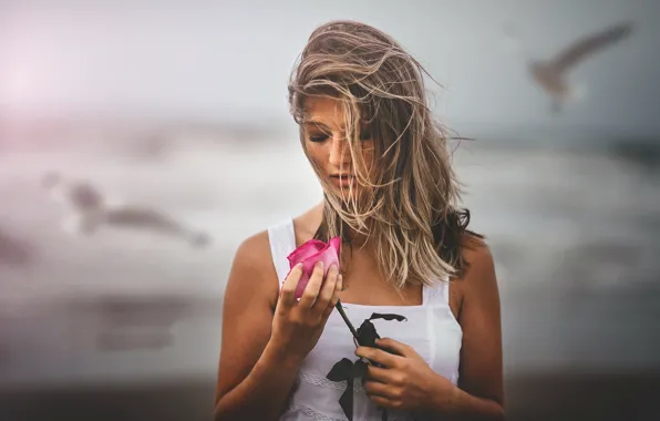 Wallpaper girl, rose, Marina for mobile and desktop, section девушки ...