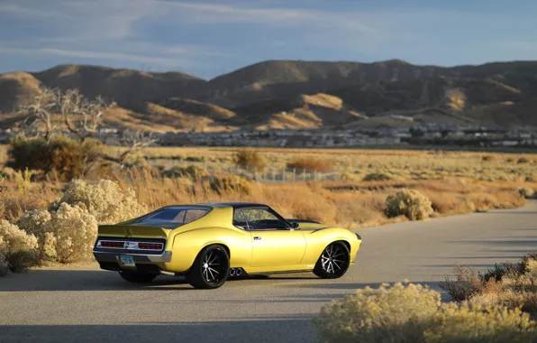 Wallpaper Road, The bushes, Drives, Muscle car, 1972, Classic car ...