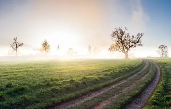 Download wallpaper road, field, fog, morning, section nature in ...