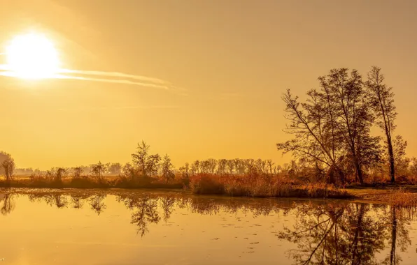 Download wallpaper nature, lake, morning, section landscapes in ...