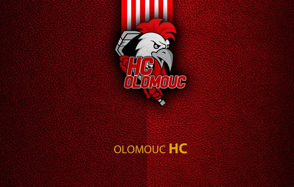 Wallpaper wallpaper, logo, Sport, Hockey, Olomouc for mobile and ...