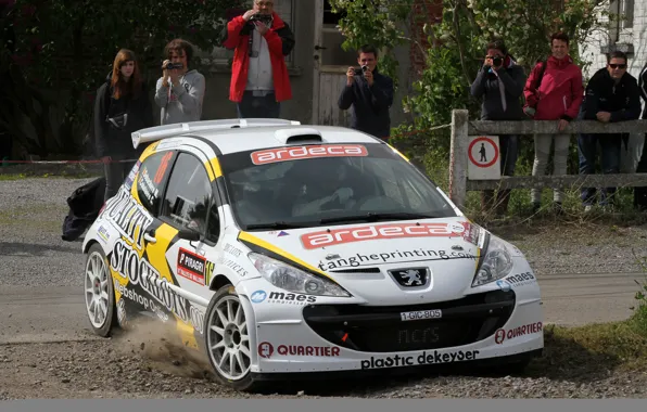 Wallpaper Dust, Peugeot, Rally, 207 images for desktop, section peugeot ...