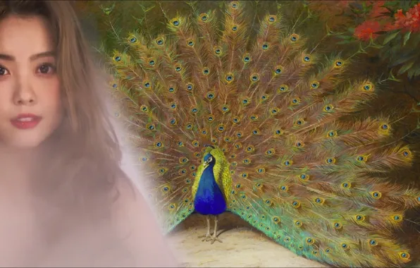 Wallpaper girl, bird, other, YoYoMi for mobile and desktop, section ...