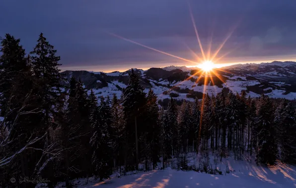 Wallpaper the sun, snow, trees, mountains, Sunrise images for desktop ...