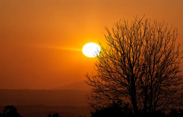 Wallpaper sky, trees, sunset, mountains, sight images for desktop ...