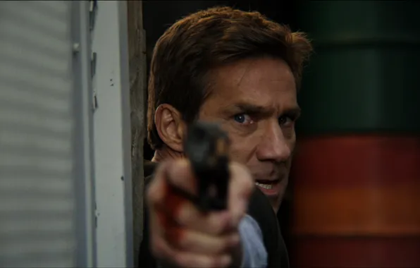 Wallpaper look, pose, weapons, actor, white tiger, actor, weapon, view ...