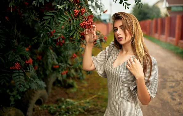 Wallpaper Look Girl Branches Face Photo Street Hair Dress For