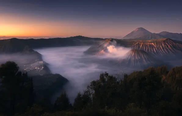 Wallpaper forest, mountains, fog, height, Indonesia, volcanoes, Bromo ...