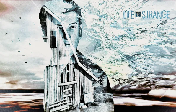 Wallpaper storm, bird, the game, fan art, Life Is Strange, Nathan ...