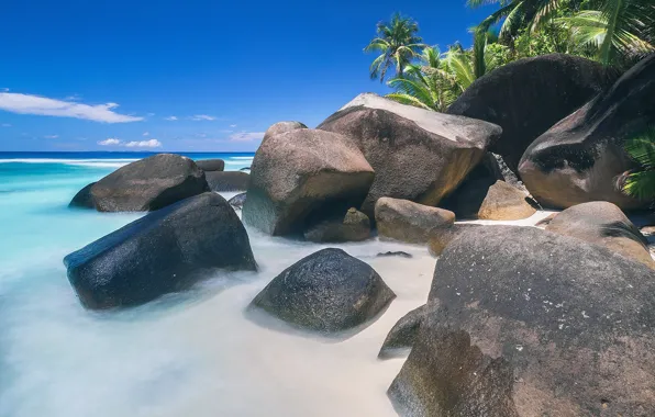 Download wallpaper sea, palm trees, tropics, summer, Nature, beach ...