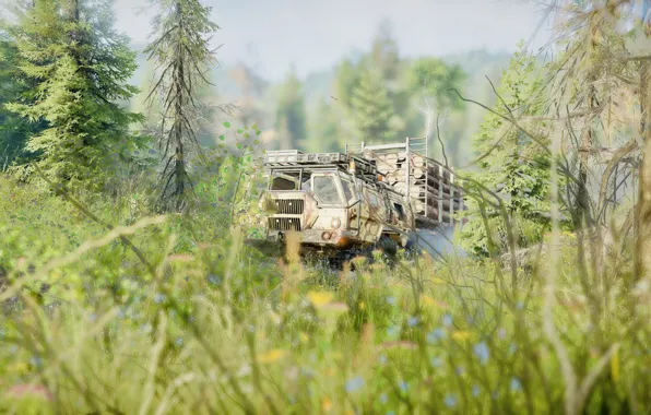 Wallpaper HDR, Game, UHD, Xbox One X, Photography by Tom, British ...