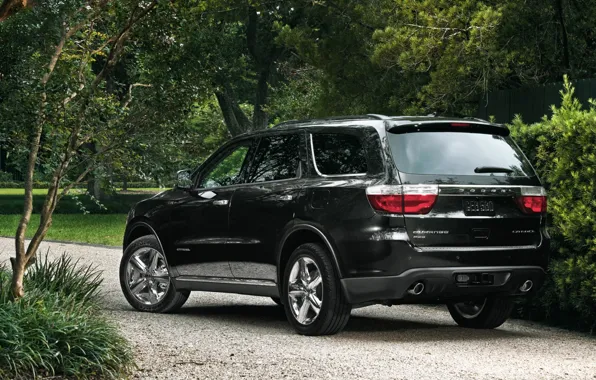 Wallpaper road, trees, black, jeep, Dodge, rear view, dodge, durango ...