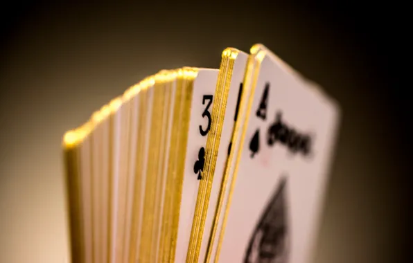 Wallpaper card, macro, background for mobile and desktop, section макро ...