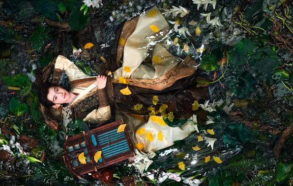 Wallpaper leaves, water, Lily, guy, drama for mobile and desktop ...