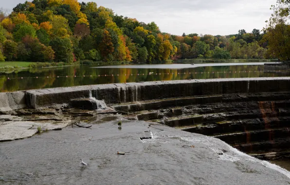 Wallpaper Autumn, USA, USA, Fall, Autumn, Cornell Plantations images ...
