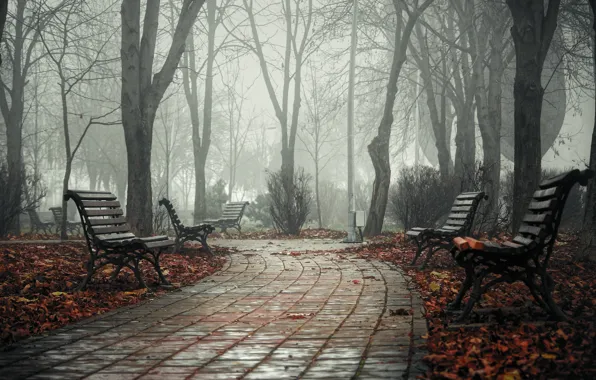 Download wallpaper autumn, Park, overcast, tile, the sidewalk, benches ...