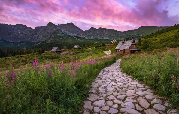 Wallpaper landscape, mountains, nature, dawn, home, morning, valley ...