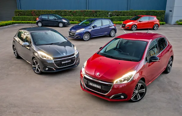Download wallpaper Peugeot, Peugeot, 208, section peugeot in resolution ...