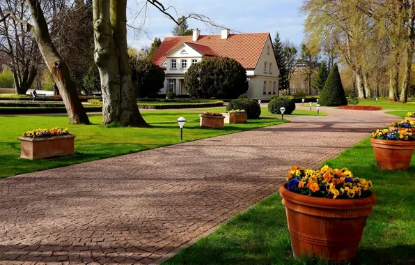 Wallpaper house, road, park for mobile and desktop, section пейзажи ...