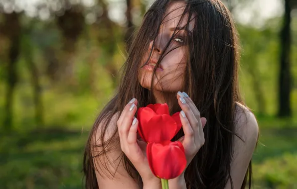 Download wallpaper sponge, curls, tulip, Hans Jörg Leth, section girls ...