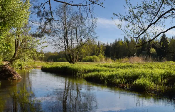 Wallpaper landscape, nature, river for mobile and desktop, section ...