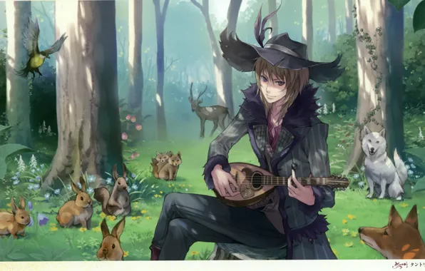 Wallpaper wolf, hat, deer, rabbits, Fox, musician, musical instrument ...