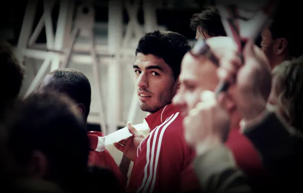 Wallpaper football, Liverpool, goal, player, Luis Suarez, Suarez for ...