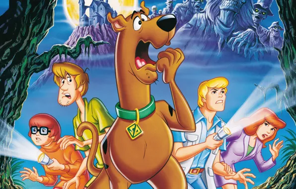 Wallpaper cartoon, Shaggy, Scooby-Doo, Scooby-Doo, Daphne, Fred, Fred ...