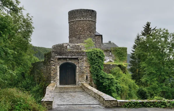 Download wallpaper the sky, trees, castle, overcast, architecture ...