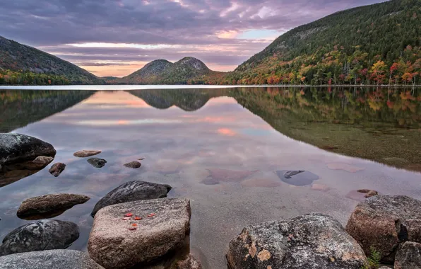 Download wallpaper landscape, Acadia, Jordan Pond, section landscapes ...