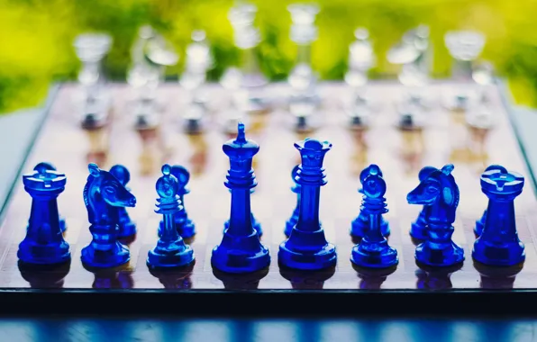 Wallpaper chess, blue, chess Board, bokeh, chess pieces images for desktop, section разное ...