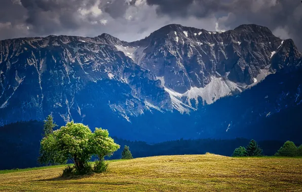 Download wallpaper mountains, tree, Nature, section nature in ...