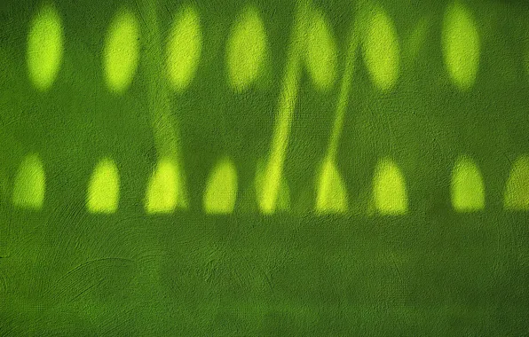 Download wallpaper background, wall, color, section textures in ...