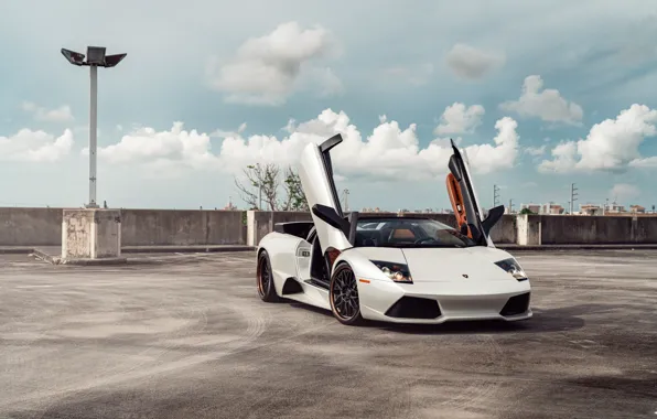 Download wallpaper Roadster, Lamborghini, Murcielago, section ...