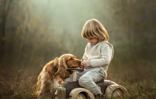 Wallpaper nature, child, dog, girl for mobile and desktop, section ...