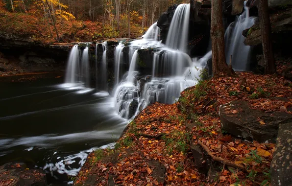Wallpaper autumn, forest, leaves, river, waterfall, cascade, West ...