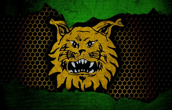 Download wallpaper wallpaper, sport, logo, football, Ilves, section ...