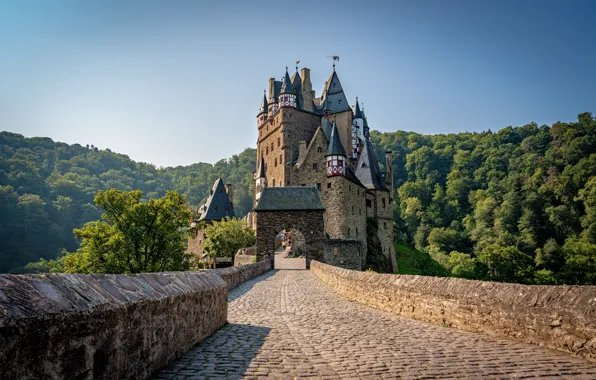 Download wallpaper forest, bridge, castle, Germany, Germany, Eltz ...