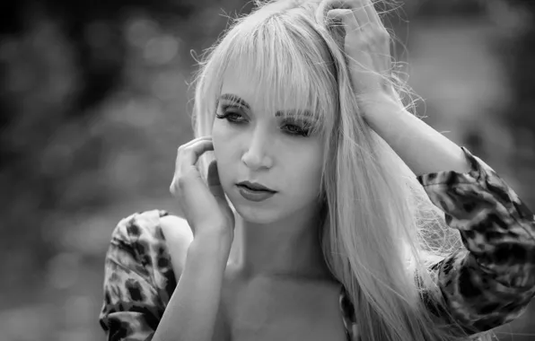 Wallpaper face, background, model, hair, cutie, Sophia images for ...