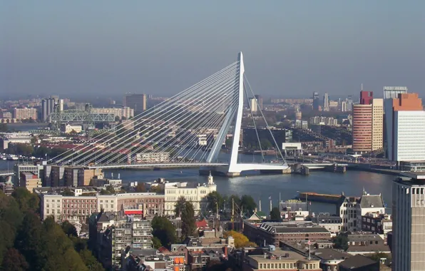 Wallpaper city, rotterdam, the-netherlands for mobile and desktop ...