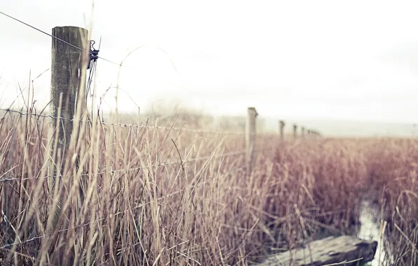 Wallpaper fence, wire, farm images for desktop, section пейзажи - download