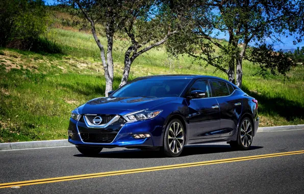 Wallpaper Nissan, blue, Nissan, Maxim, 2015, Maxima for mobile and ...