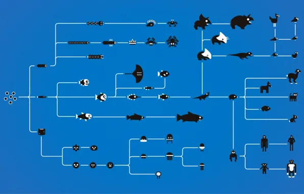 Download wallpaper biology, science, evolution, In a nutshell, section ...
