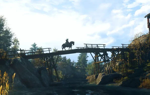 Download wallpaper bridge, The Witcher, The Witcher 3: Wild Hunt, The ...