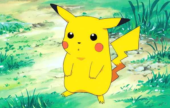 Pikachu Pokemon On Green Grass Hd Pokemon Wallpapers Hd Wallpapers