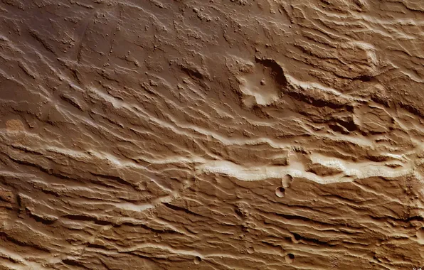 Download wallpaper background, texture, the ground, section textures in ...