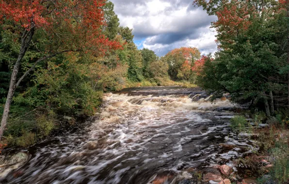 Wallpaper autumn, nature, river for mobile and desktop, section природа ...