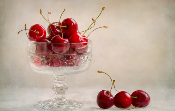Wallpaper berries, cherry, vase for mobile and desktop, section еда ...